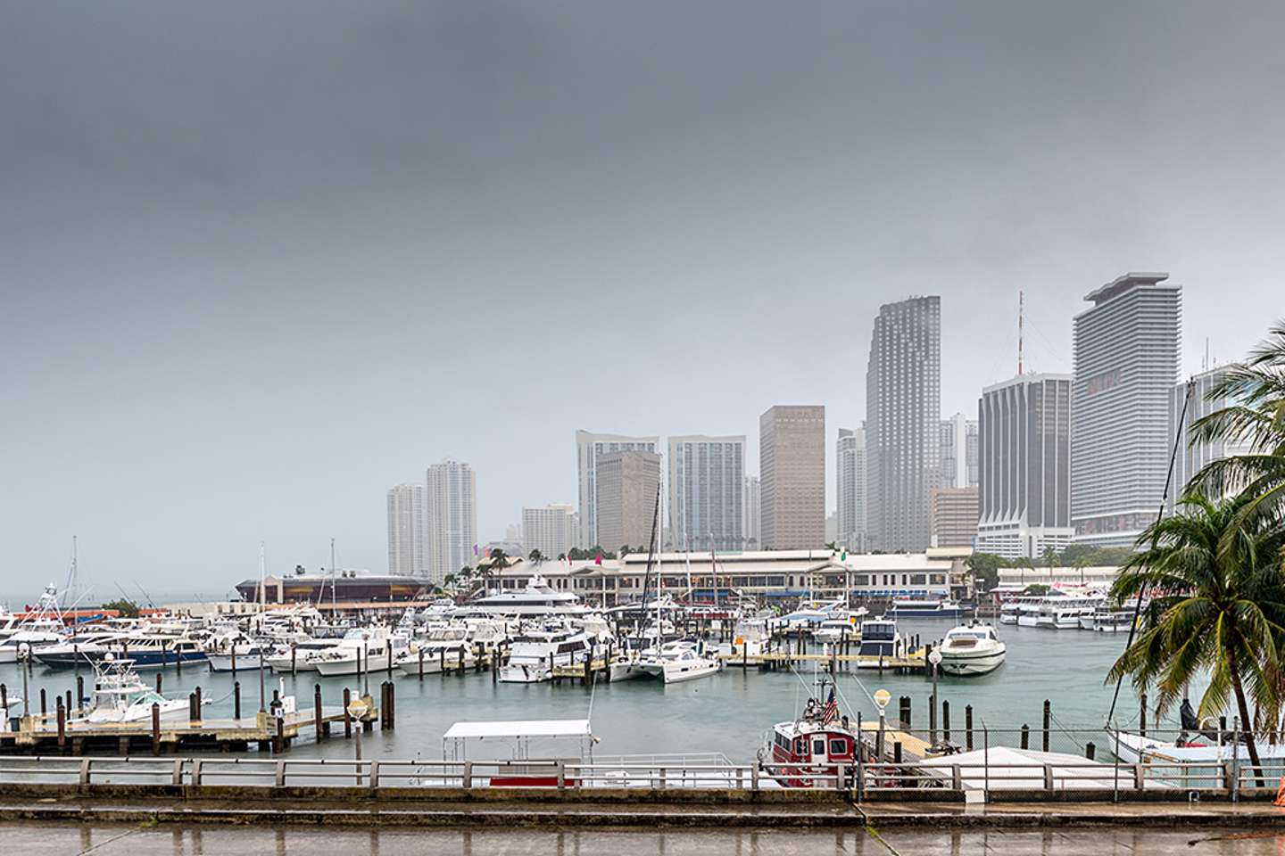 8 Things To Do in Miami When It Rains