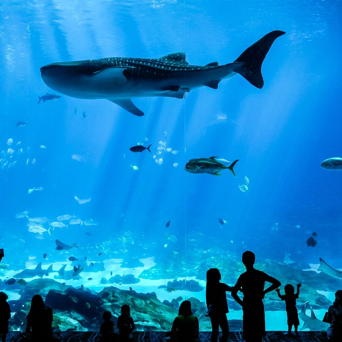 20 fun and unique things to do in Atlanta