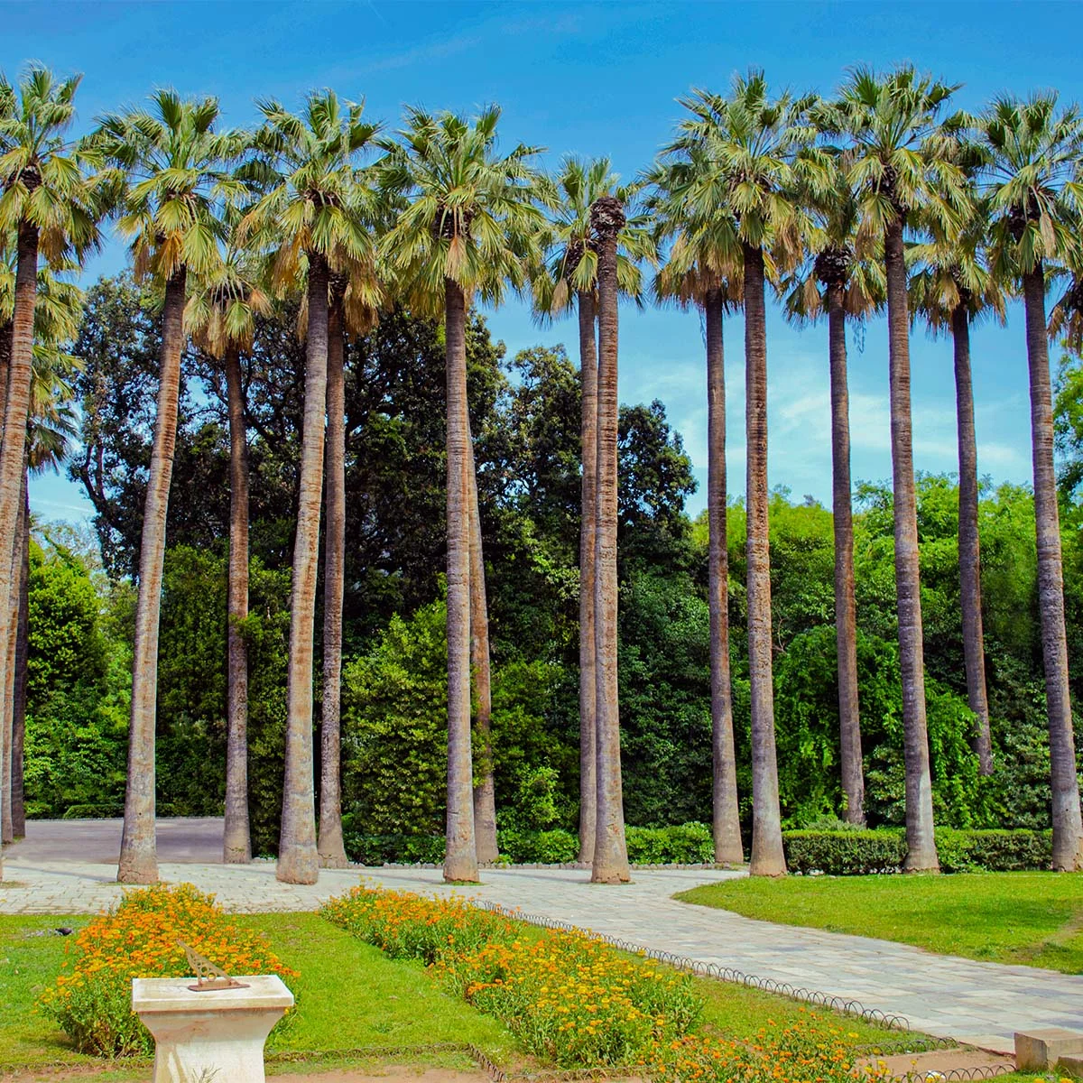 Athens’s unmissable landmarks and historical sights