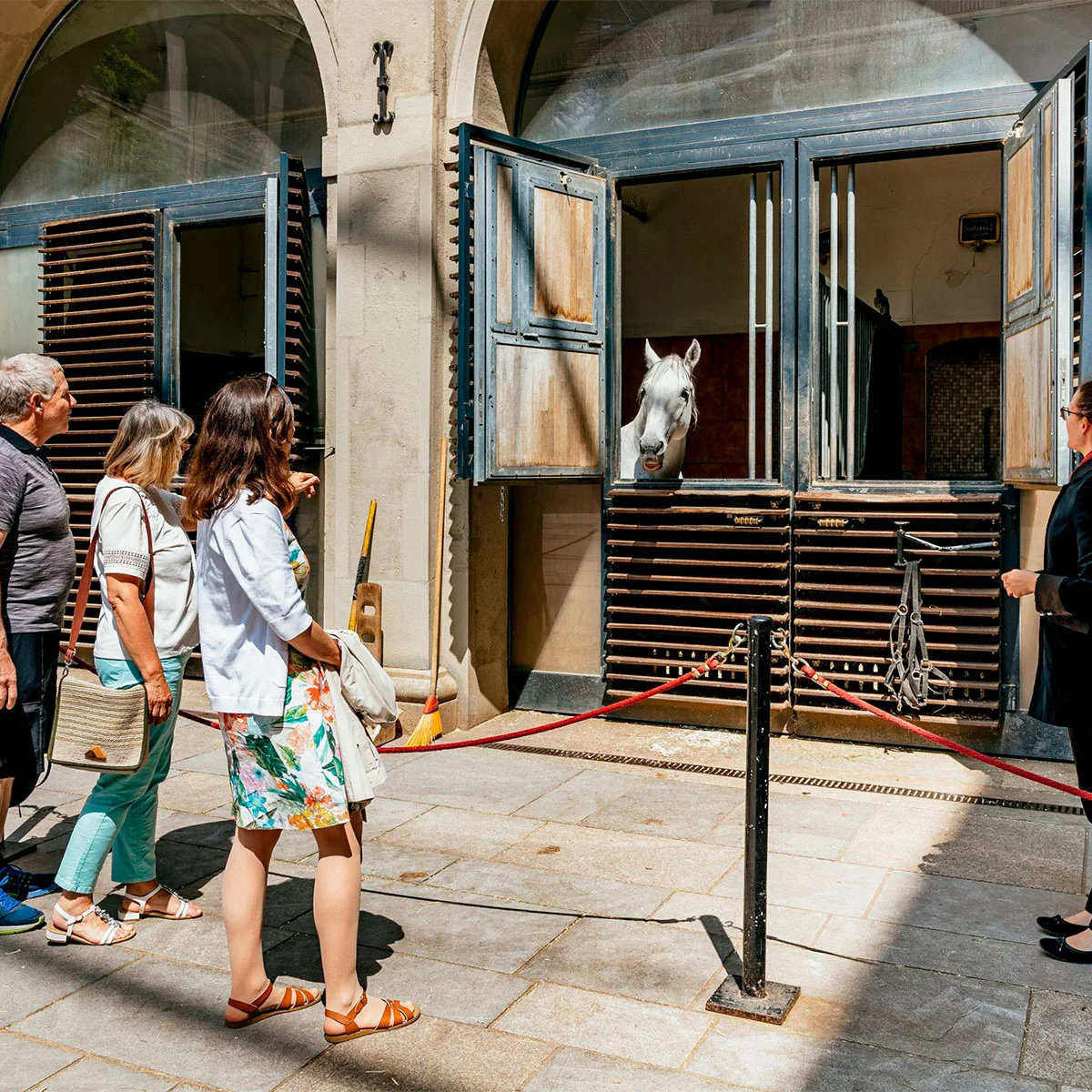 10 Fun family-friendly activities in Vienna