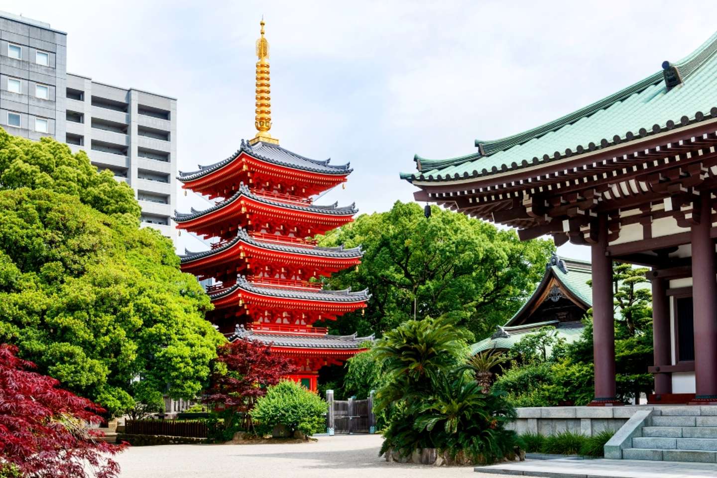 8 Best Places To Visit in Fukuoka All Year Round