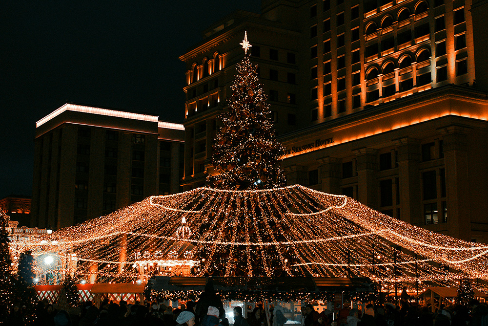 6 Fun, Festive Things To Do During Christmas in Denver