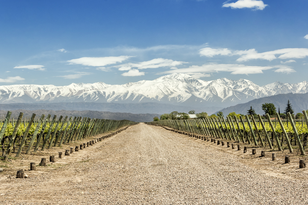 Cata de vinos en Argentina: 7 regiones fantásticas