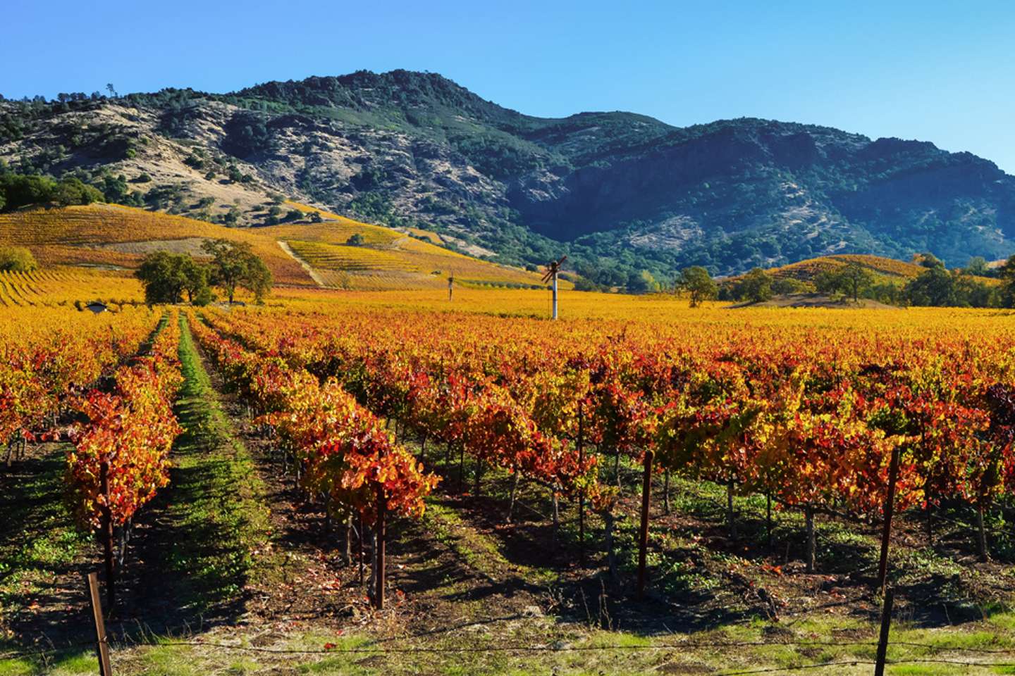 11 Best Things to Do in the US in September