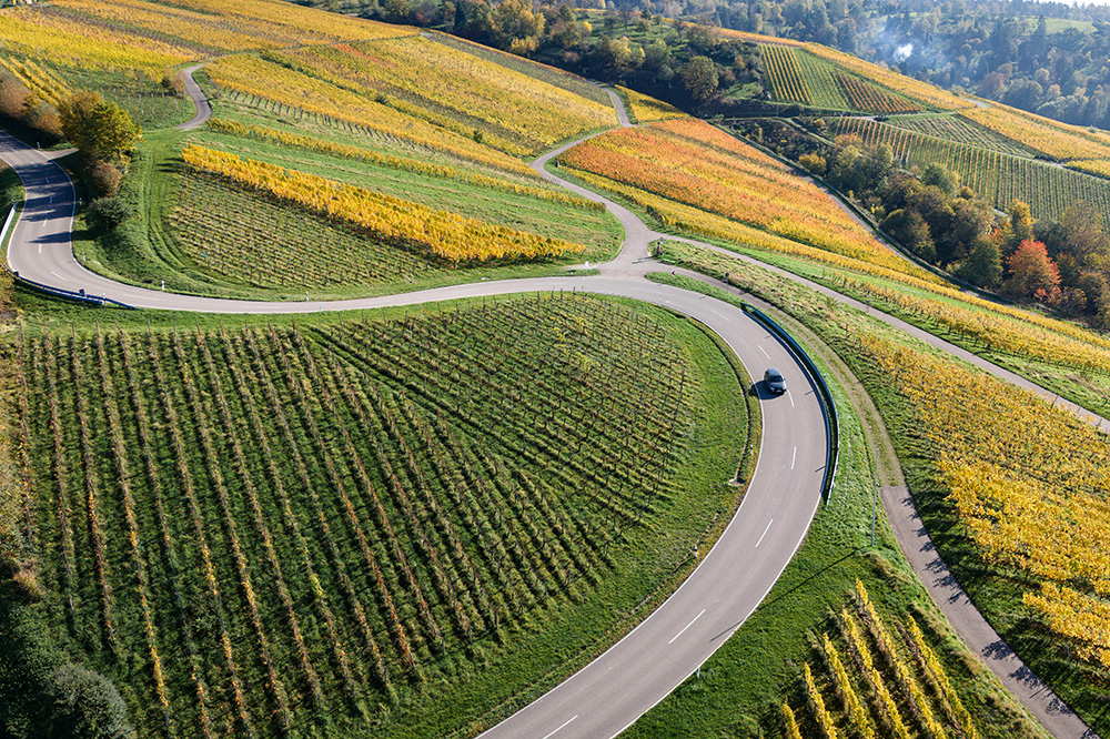 6 Regions for Wine Tasting in Germany
