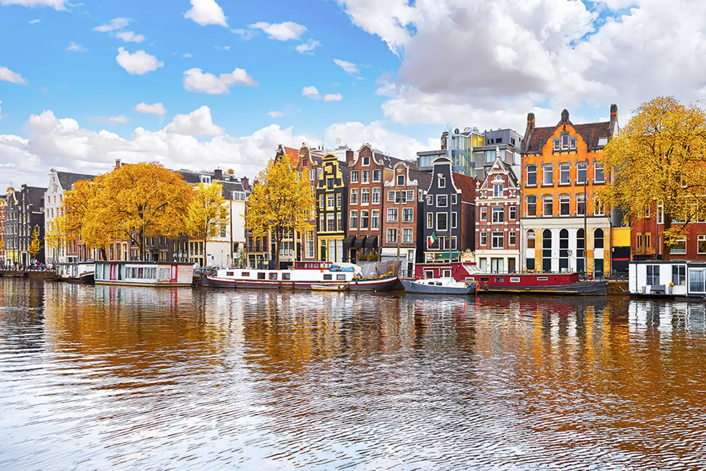 12 Fun Activities to Do and Attractions to Visit in Amsterdam in Fall