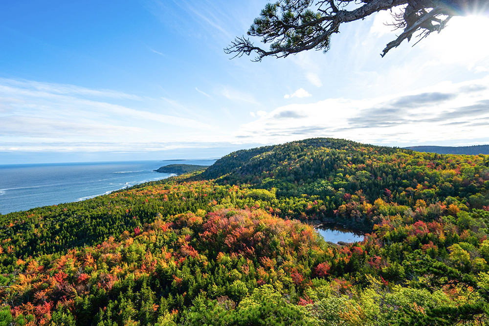 La mejor época para visitar el Parque Nacional Acadia: guía detallada