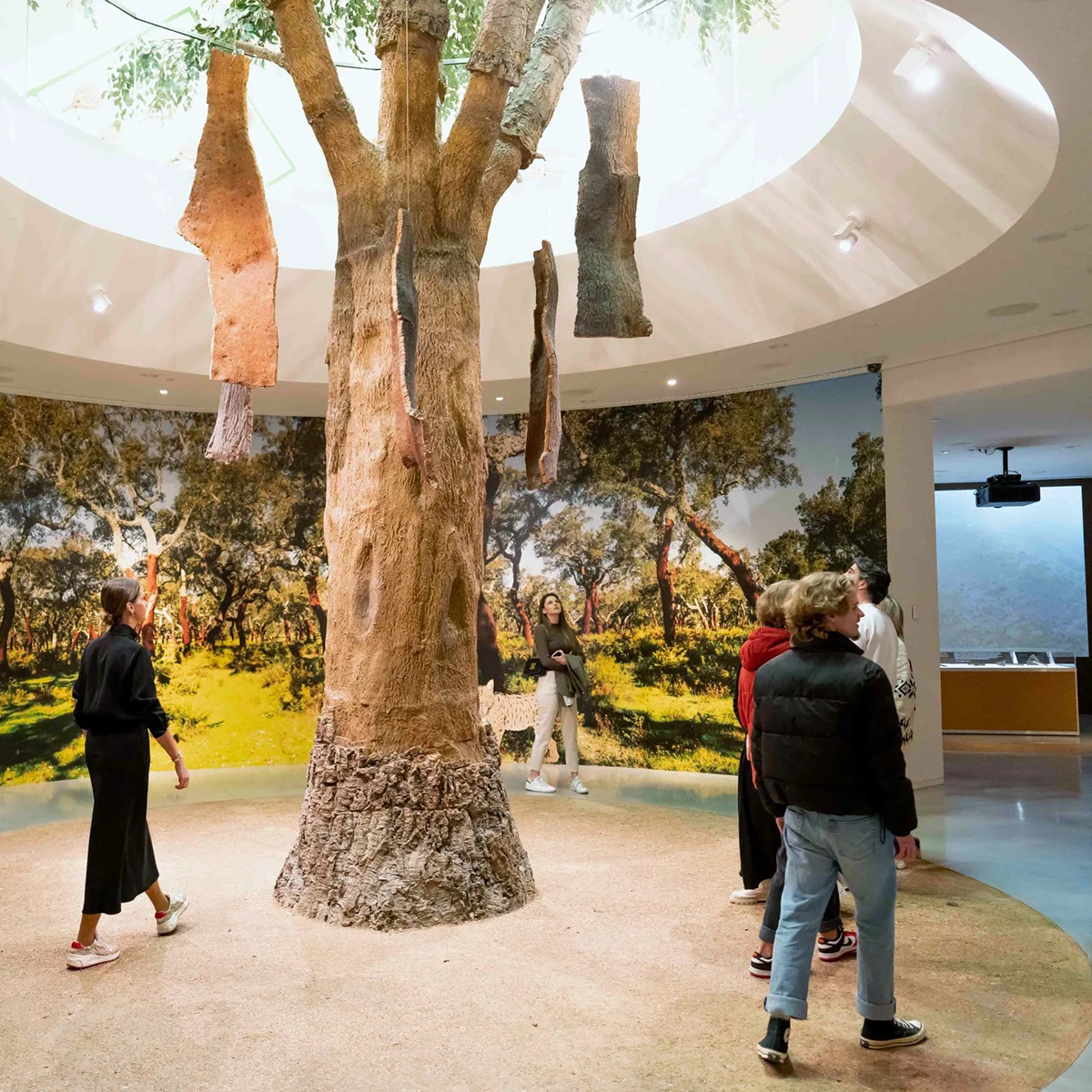 Best art museums in Porto: discovering the city's artistic wonders