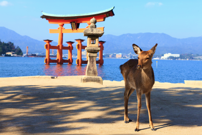 Visit Miyajima: Ultimate Guide to Japan’s Shrine Island