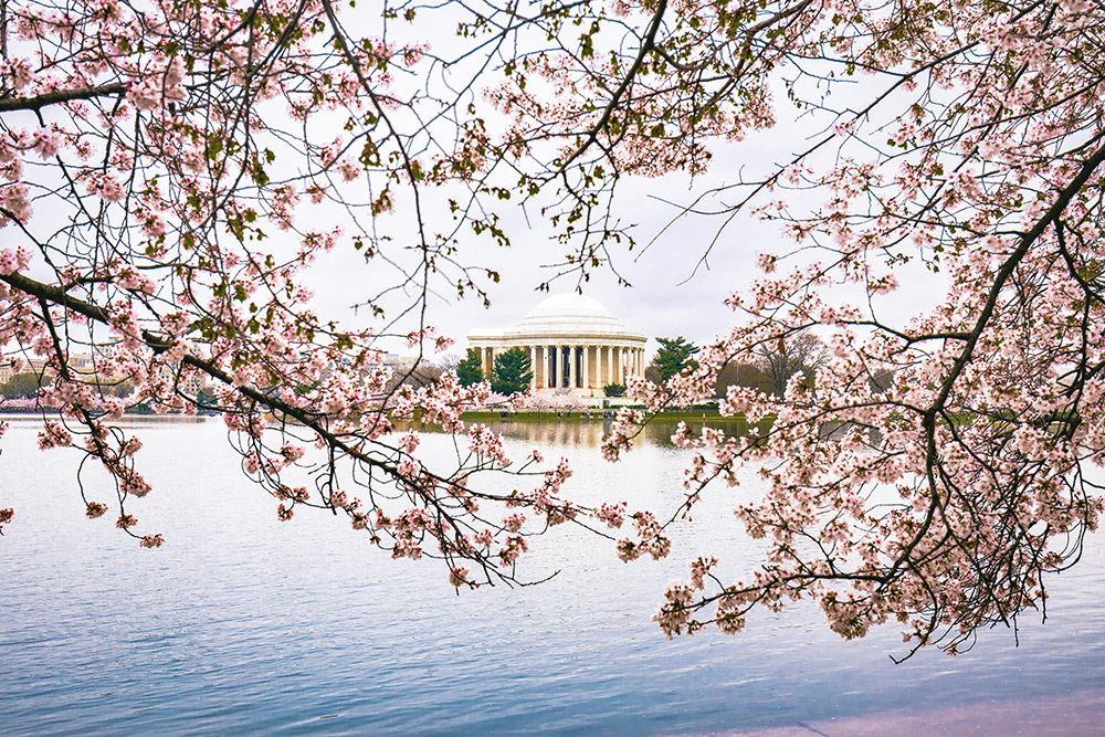 Washington Travel Guide | Insider tips, hidden gems, itineraries and more