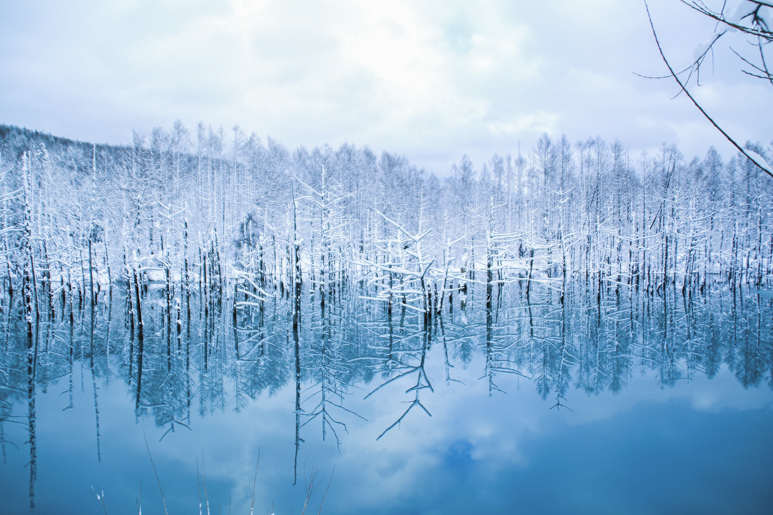 Best Winter Vacations: 10 Winter Wonderlands Around the World