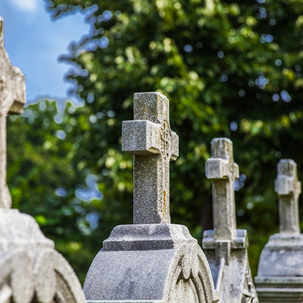 Best places to visit in Atlanta: top attractions you don't want to miss