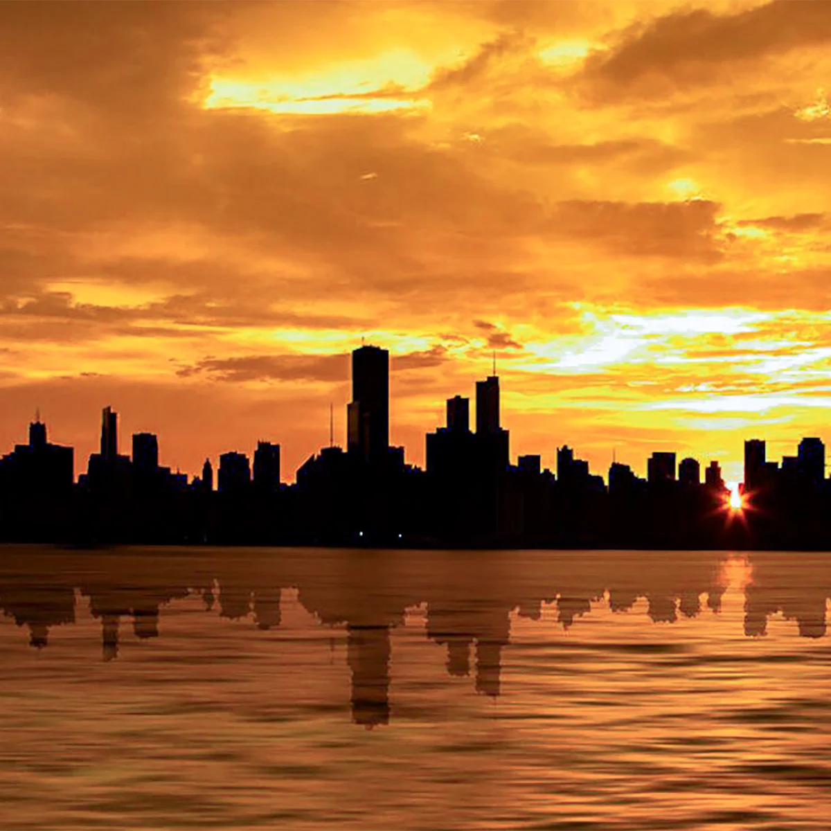 19 fun and unique things to do in Chicago