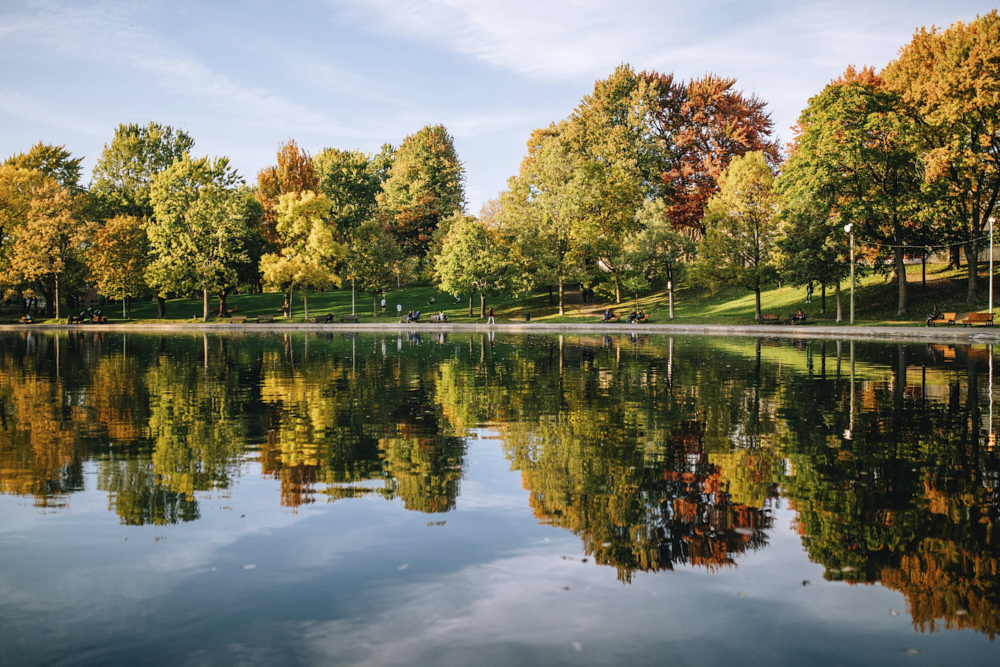 Top 12 Dinge, die man in Montreal mit Kindern und Jugendlichen ...