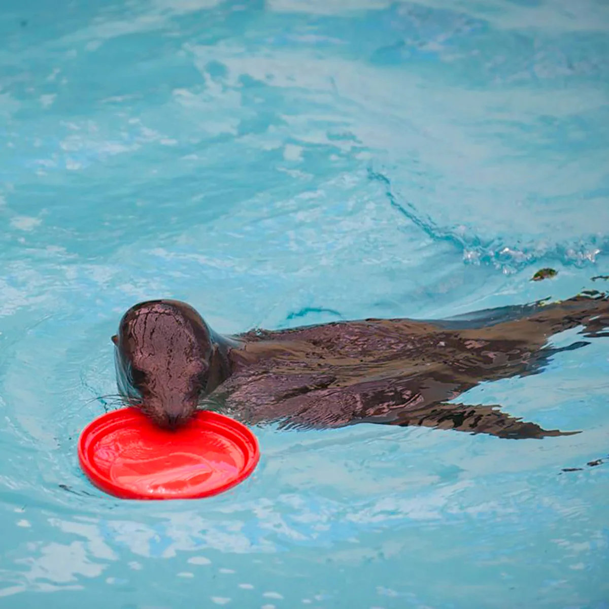 10 Fun family-friendly activities in Boston