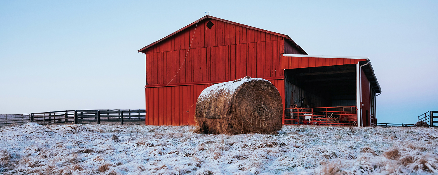 Winter in Kentucky: 9 Unmissable Things To Do and See
