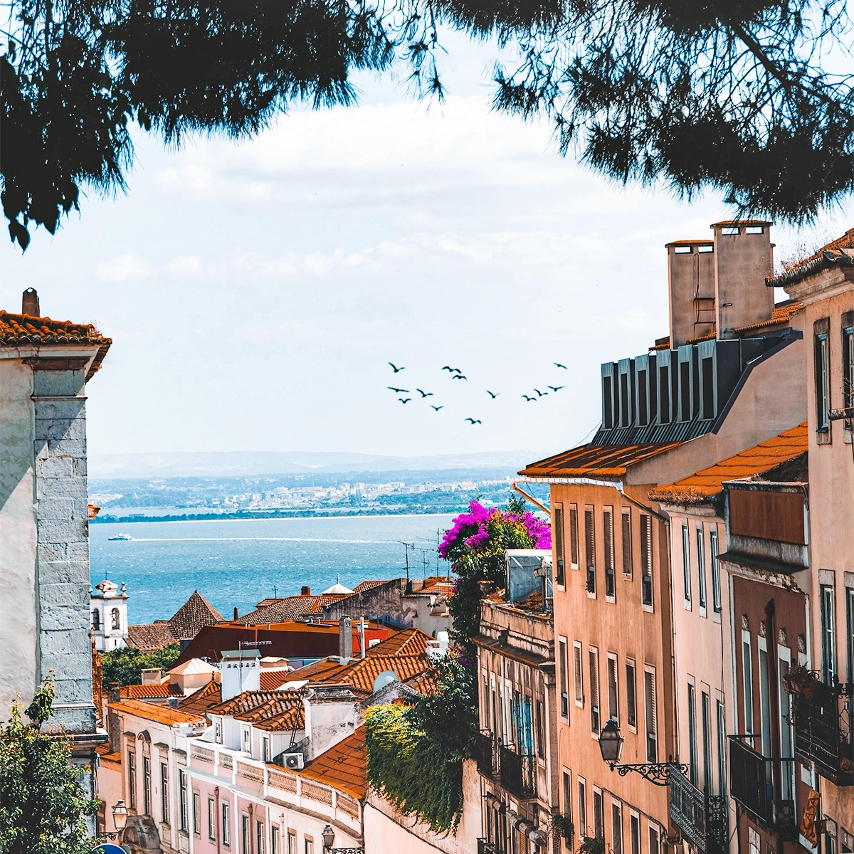 Best places to visit in Lisbon: top attractions you don't want to miss