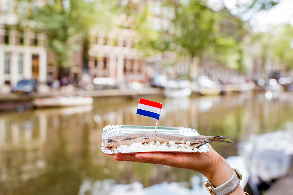 Where to Eat the Best Herring in Amsterdam