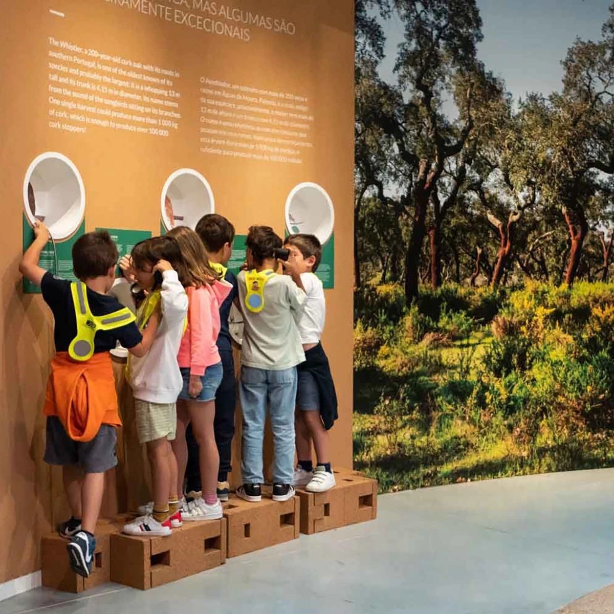 10 Fun family-friendly activities in Porto