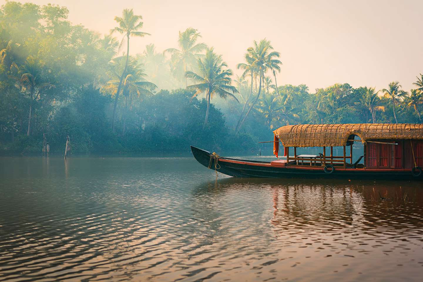 Kochi Travel Guide | Insider tips, hidden gems, itineraries and more
