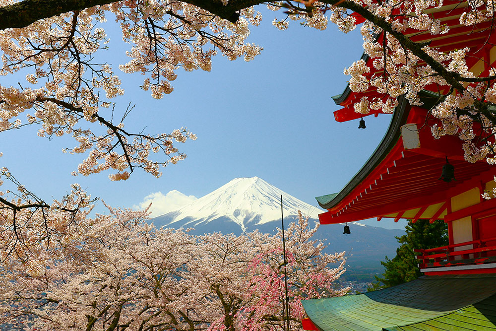 Wonders of the World: Japan's Most Captivating Destinations