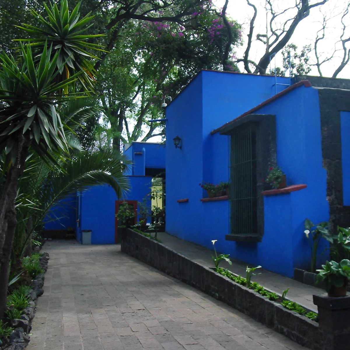 The best places to visit in Mexico City your itinerary needs