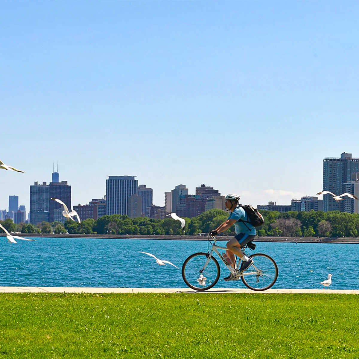 Chicago’s unmissable landmarks and historical sights