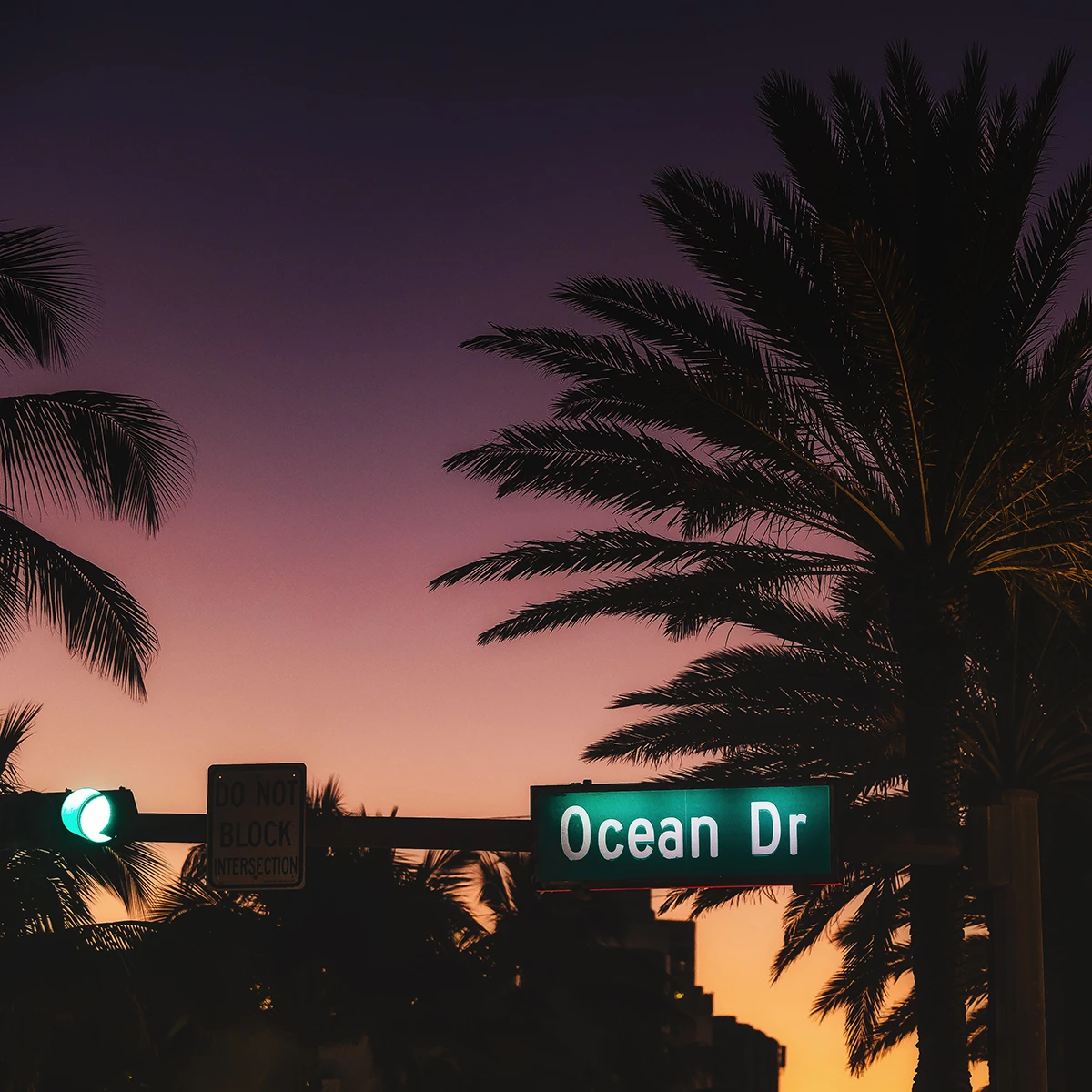 20 fun and unique things to do in Miami
