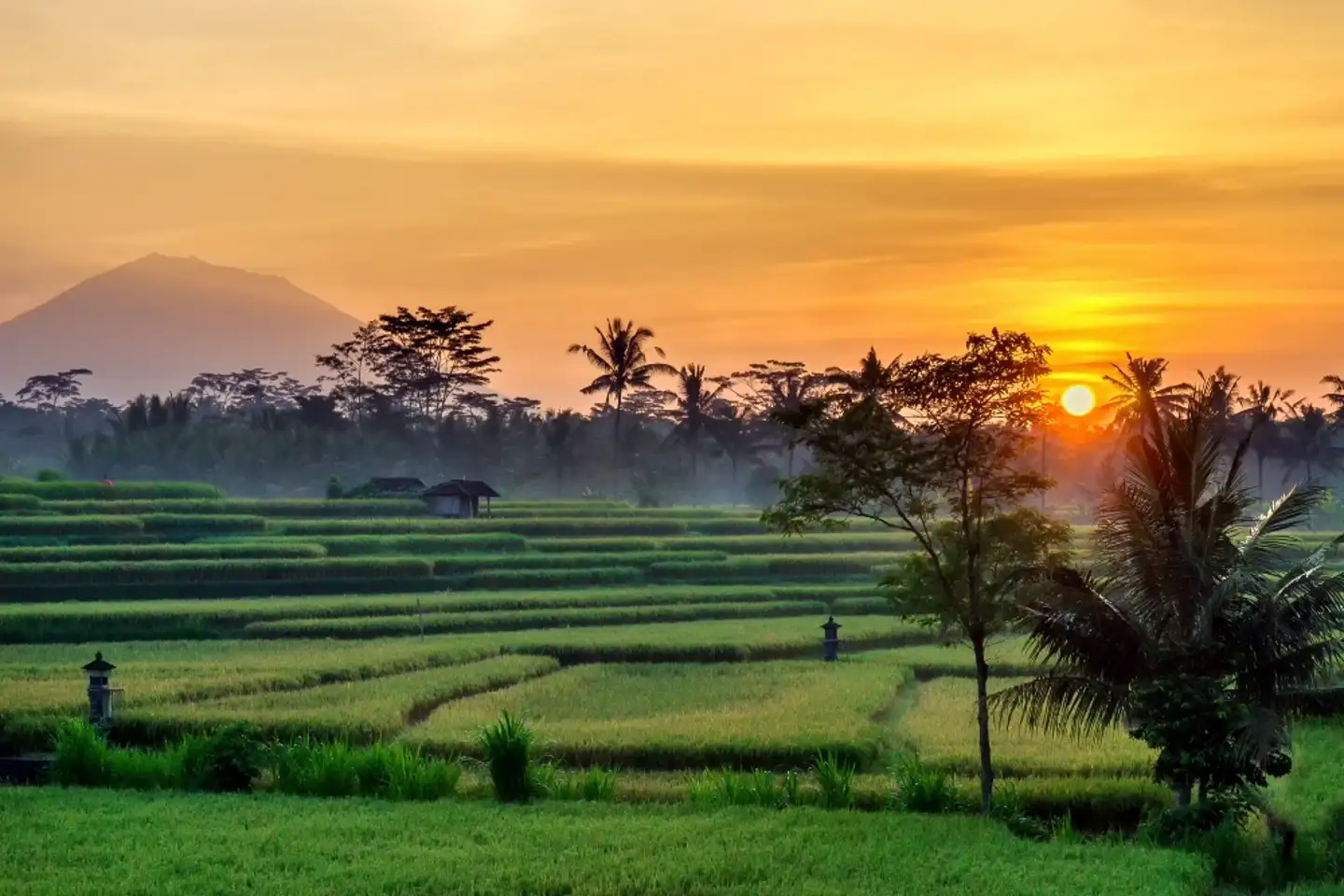 9 Best Places To Visit in Ubud All Year Round