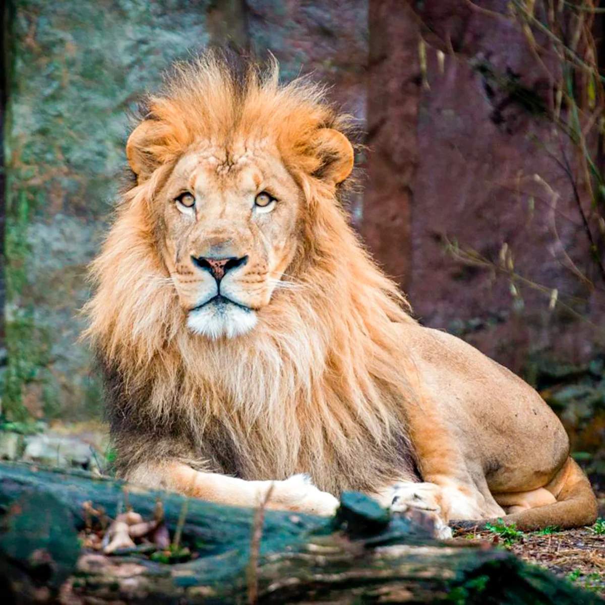 10 Fun family-friendly activities in Boston