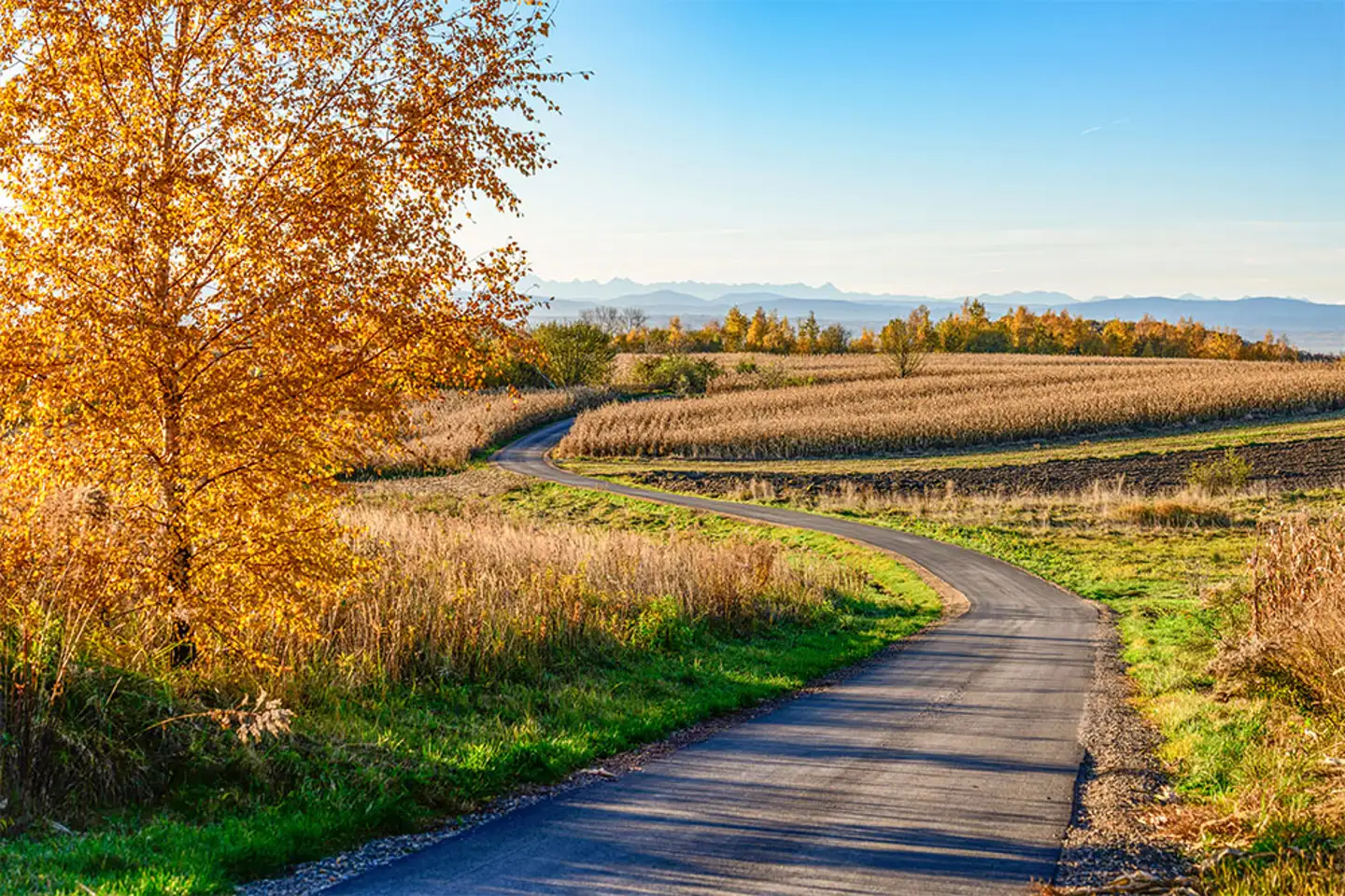 Los mejores viajes por carretera a Polonia: 5 rutas épicas en coche