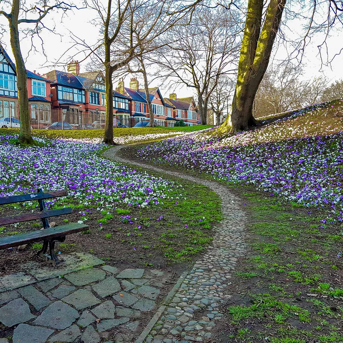 Explore off the beaten path with Liverpool's best hidden gems