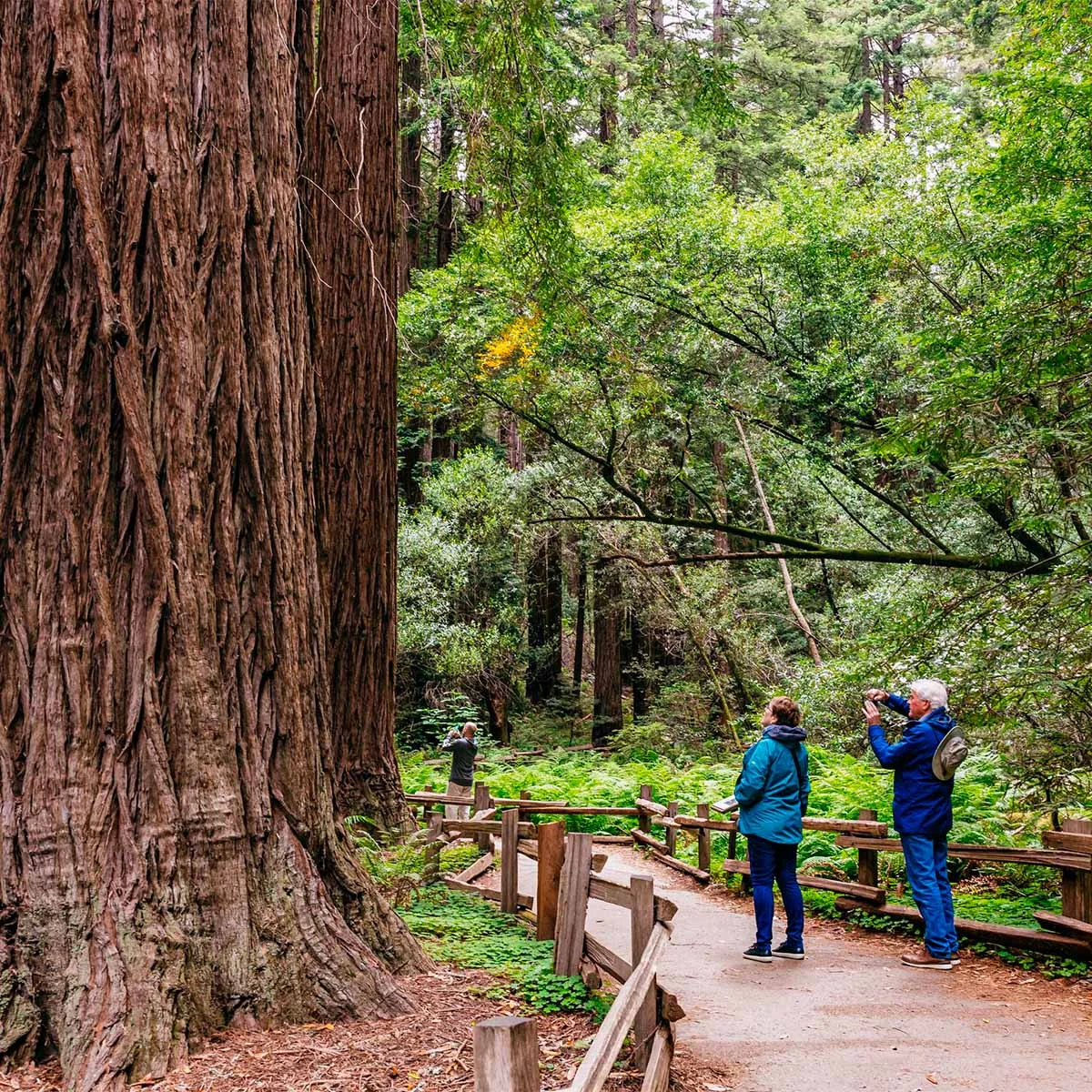 20 fun and unique things to do in San Francisco