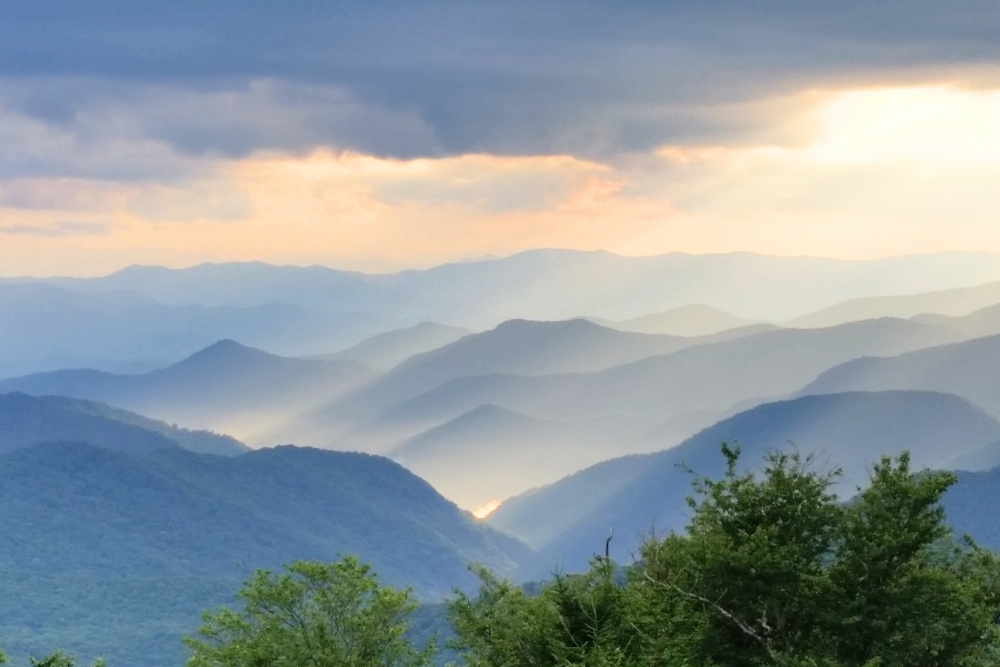 Summer in Tennessee: 8 Things to See and Do