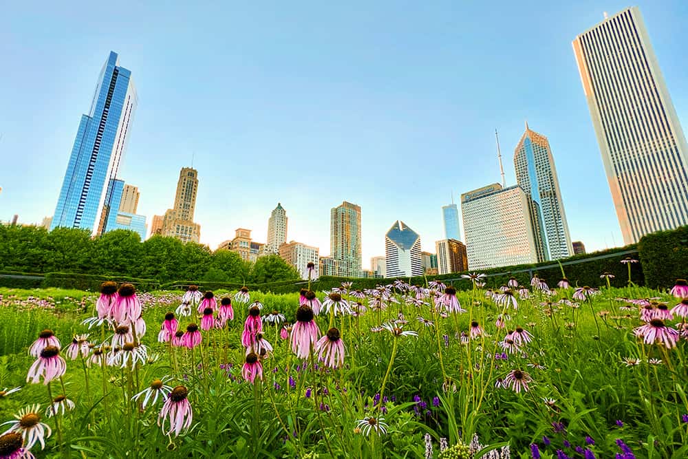 Chicago in Spring: What To See and Do
