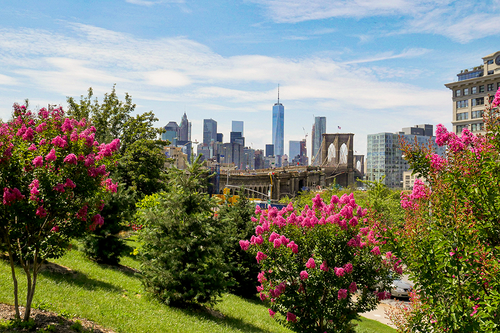 Visiting New York City in June: Everything You Need to Know
