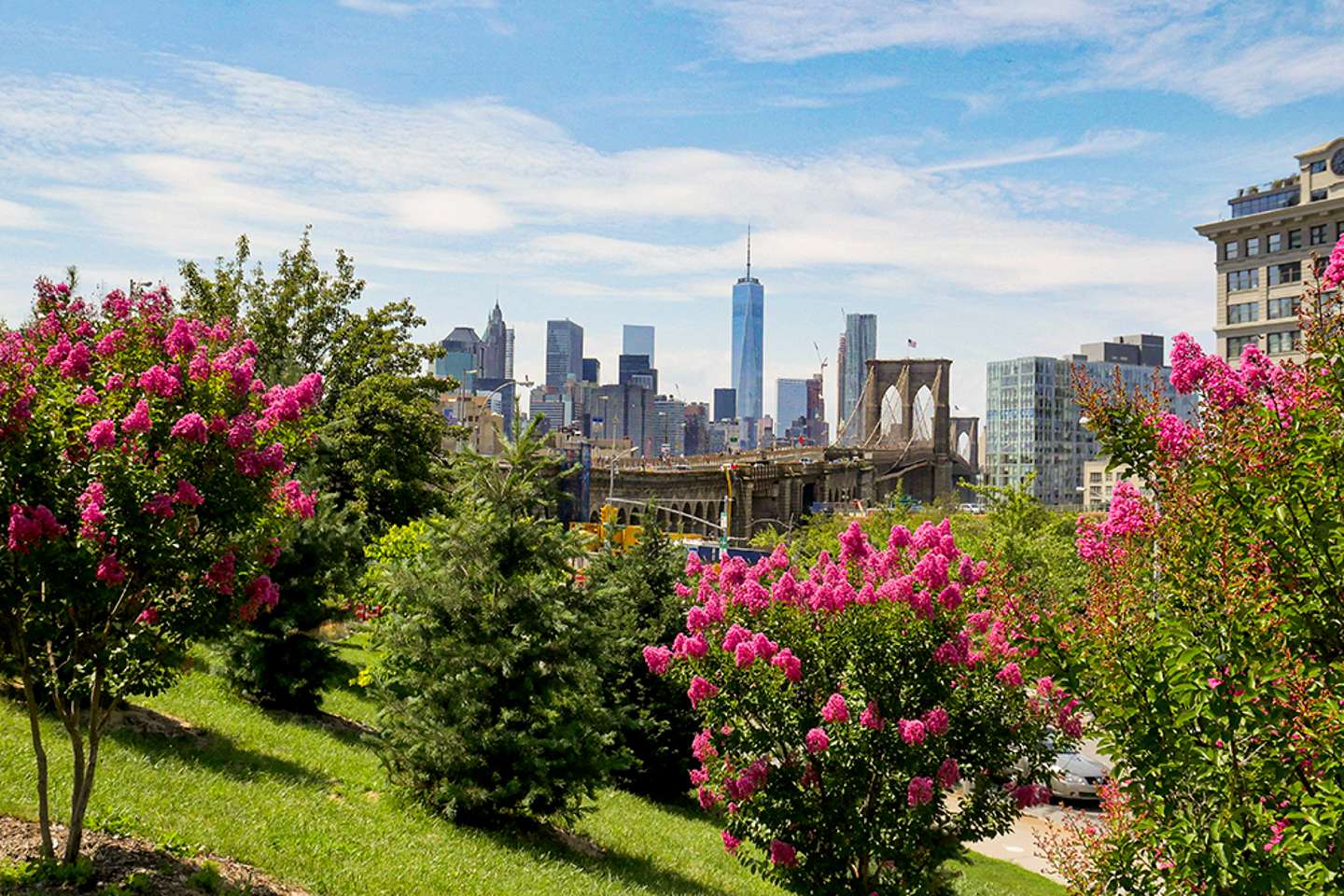 Visiting New York City in June: Everything You Need to Know