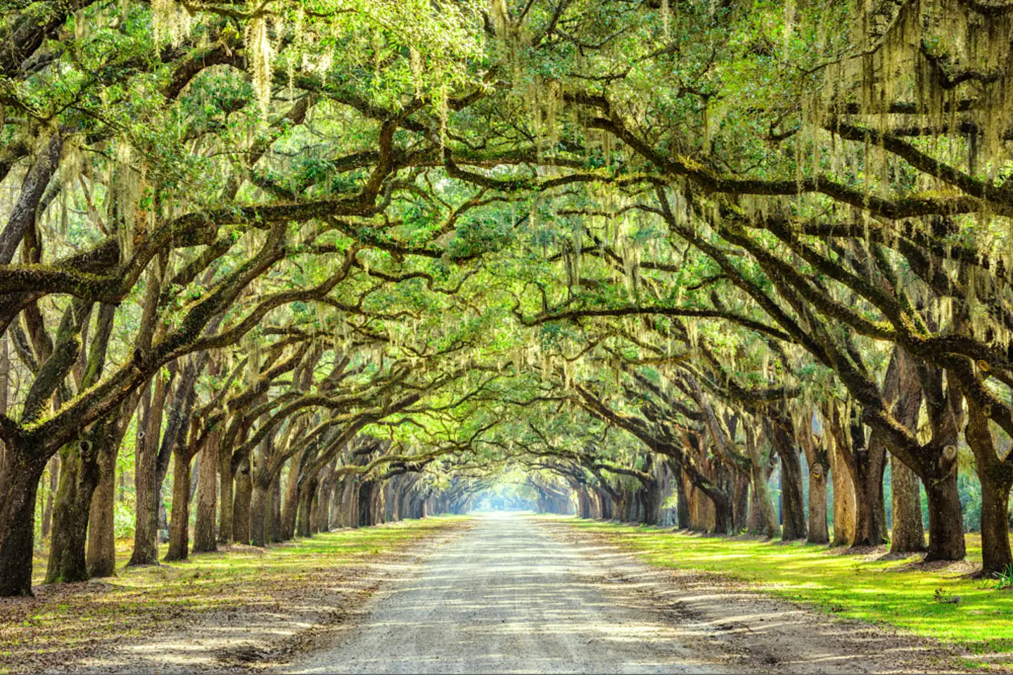 9 Top Tourist Attractions In Georgia, USA
