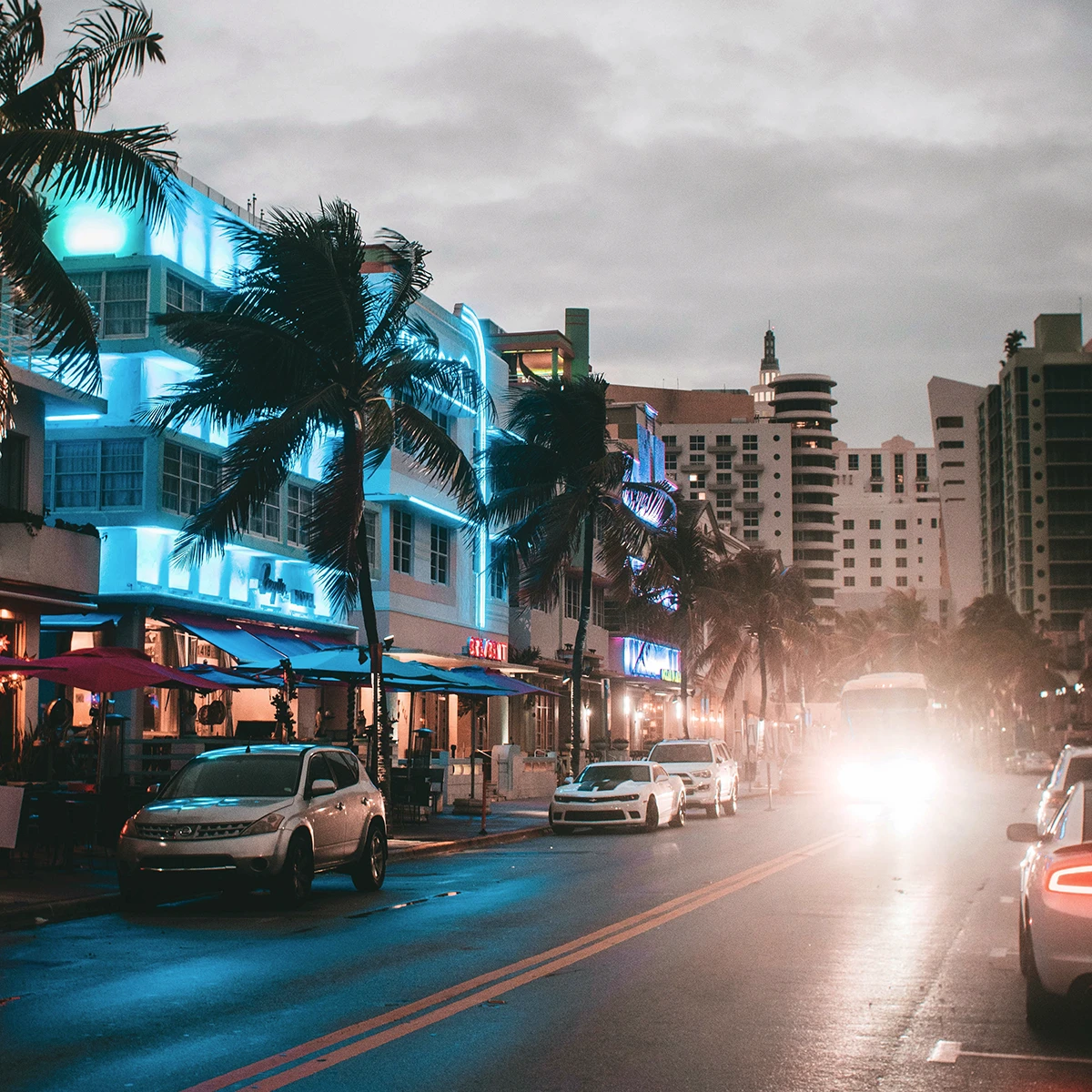 Miami in summer: best things to do and see