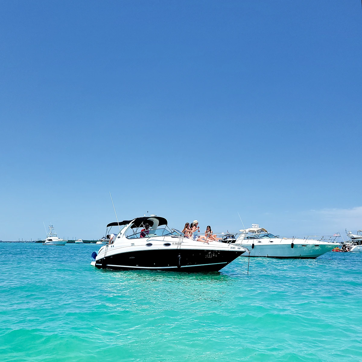 Miami in summer: best things to do and see