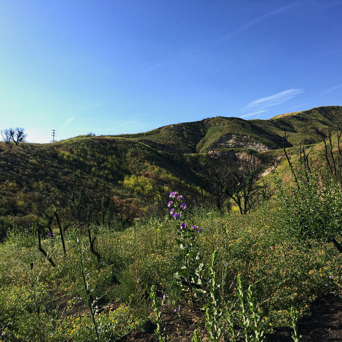 Los Angeles in summer: best things to do and see