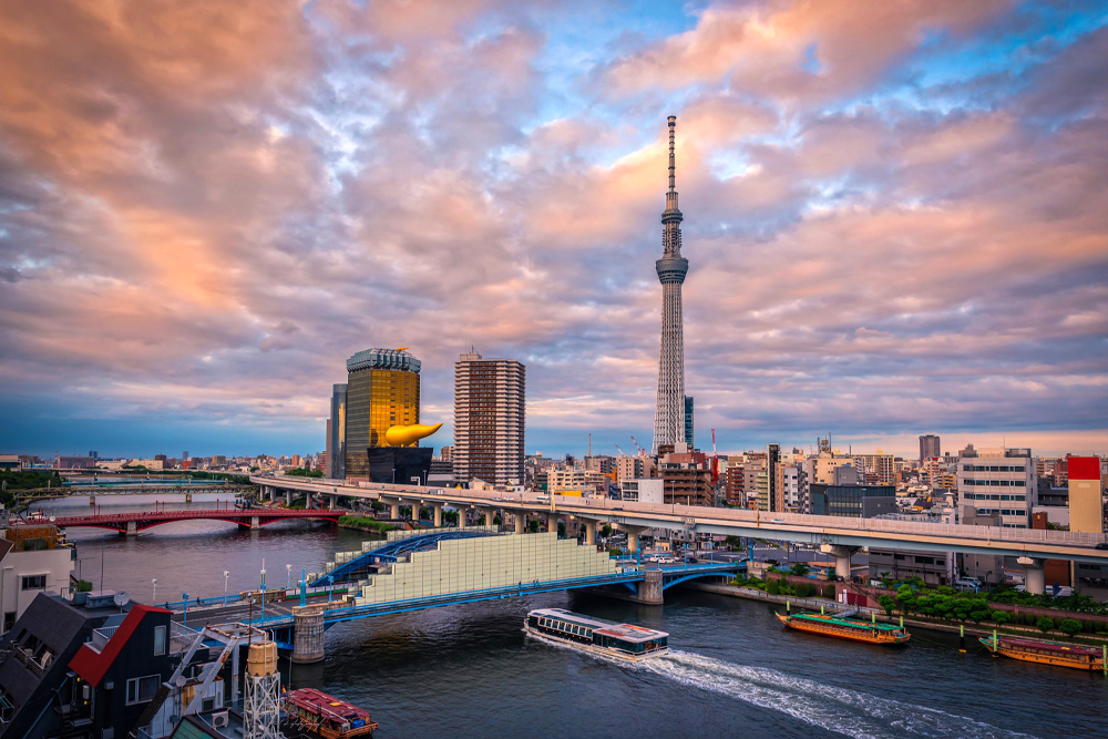 Tokyo in February: What To See and Do