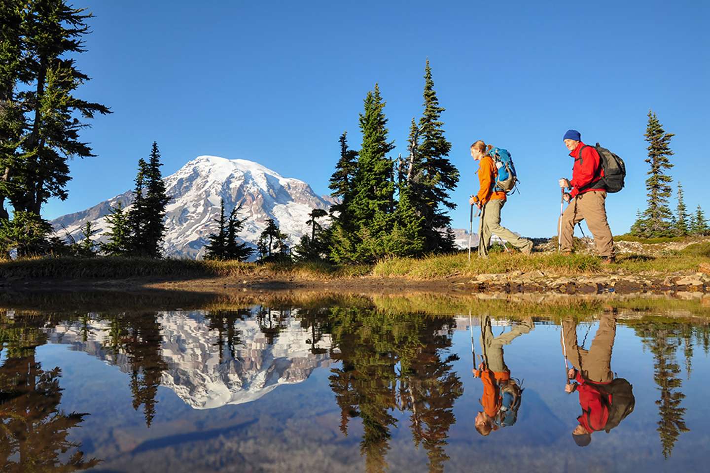 Sprievodca najlepším časom na návštevu Národného parku Mount Rainier