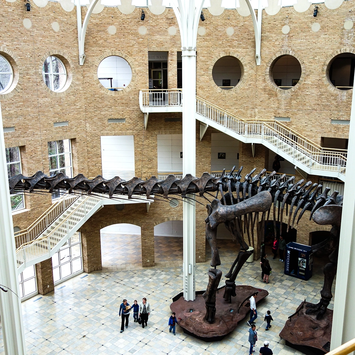 Best places to visit in Atlanta: top attractions you don't want to miss