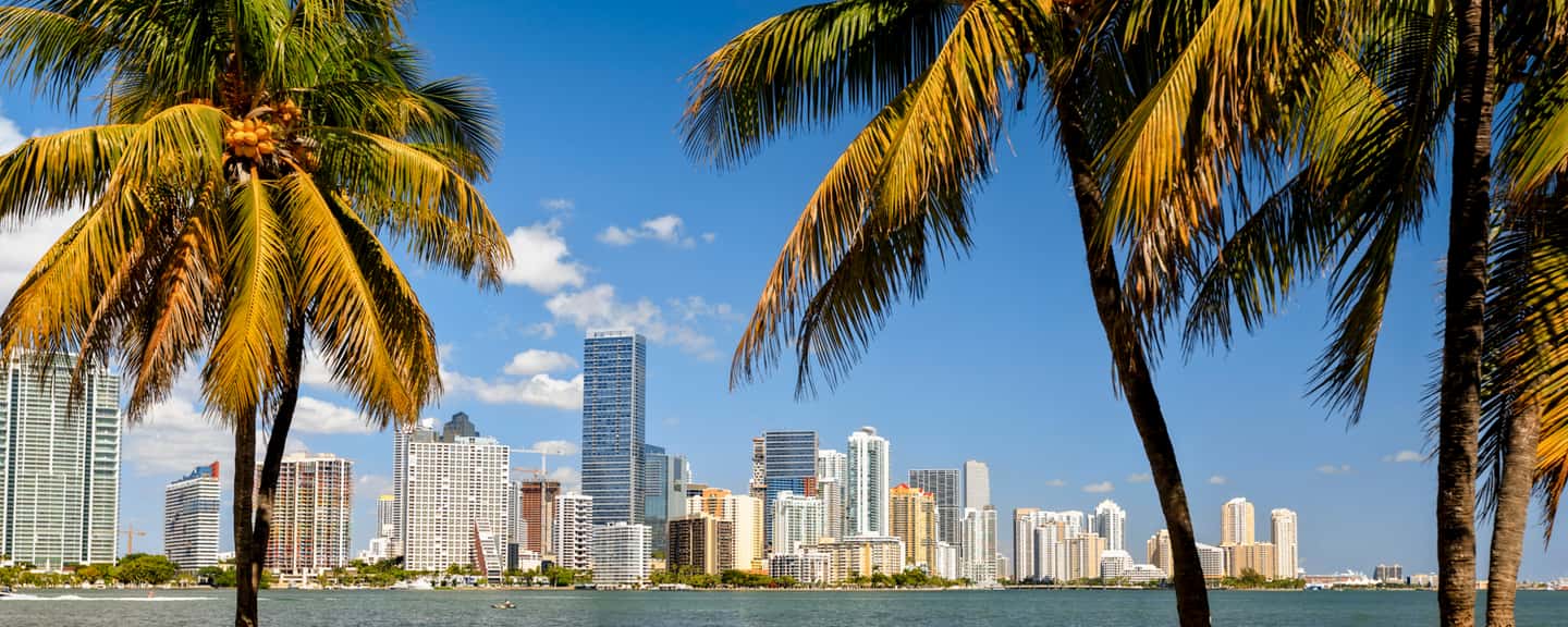 Check the Top 8 Tourist Attractions in Florida