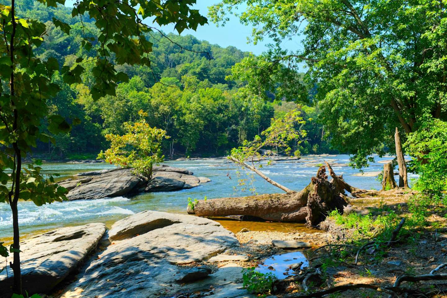 Spring in West Virginia: 8 Best Places to Visit