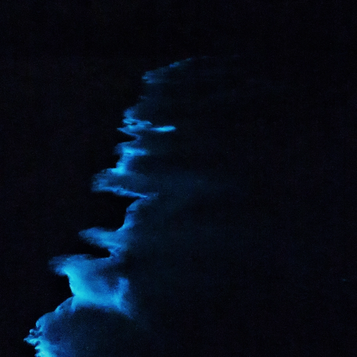 9 Best Bioluminescent Bays In The World And How To See Them