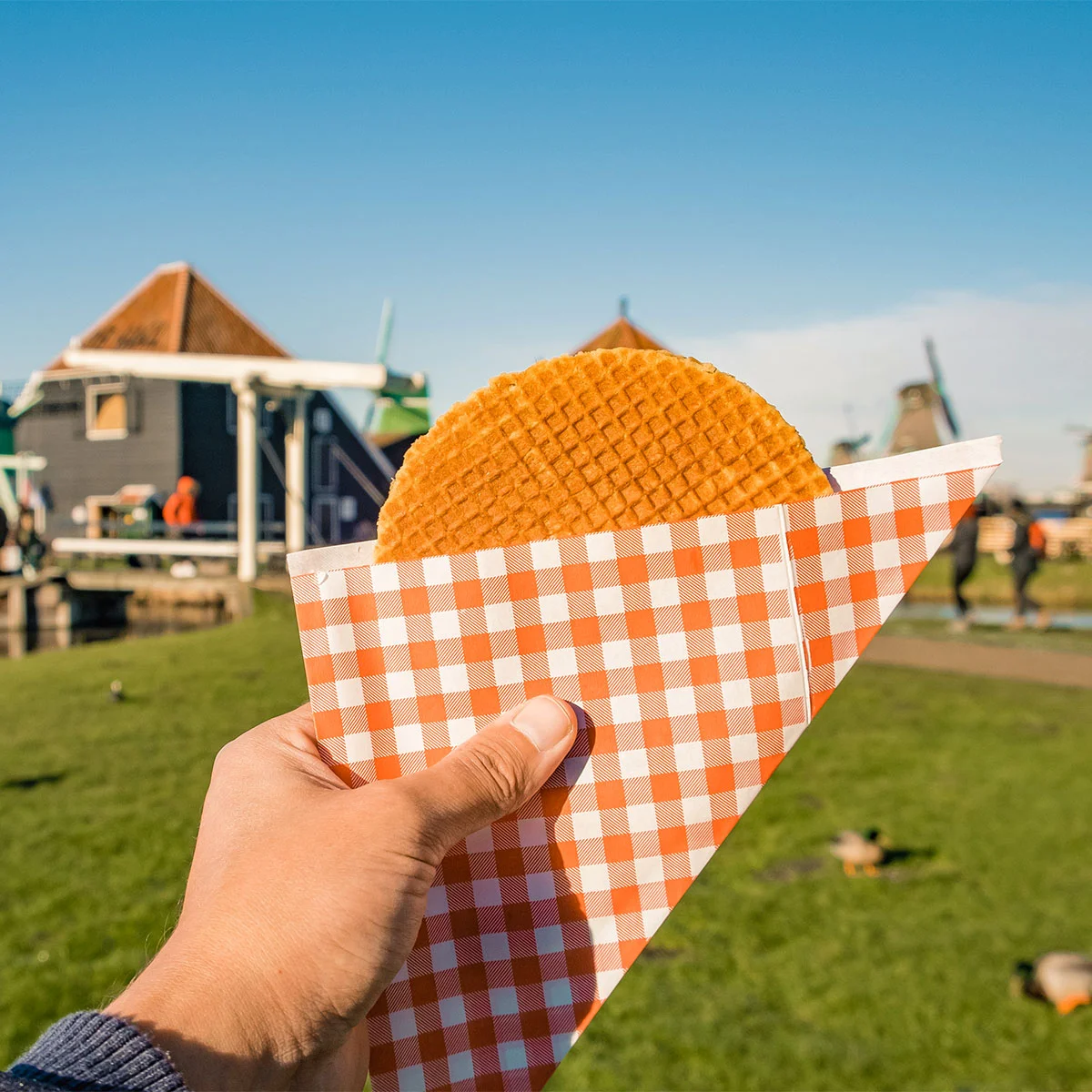 What to eat in Amsterdam: 12 must-try foods