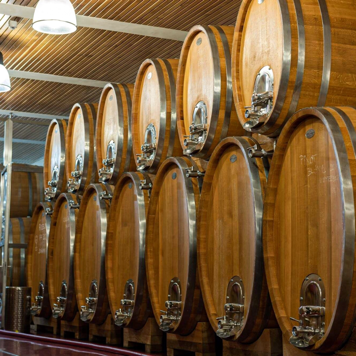 What to eat in Prague: 12 must-try local delights