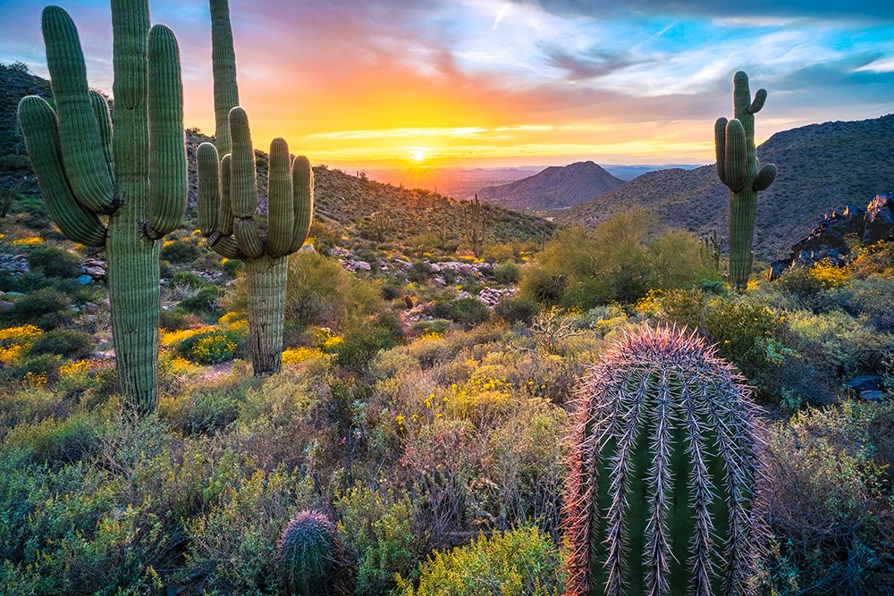 9 Ways to Enjoy Spring in Arizona